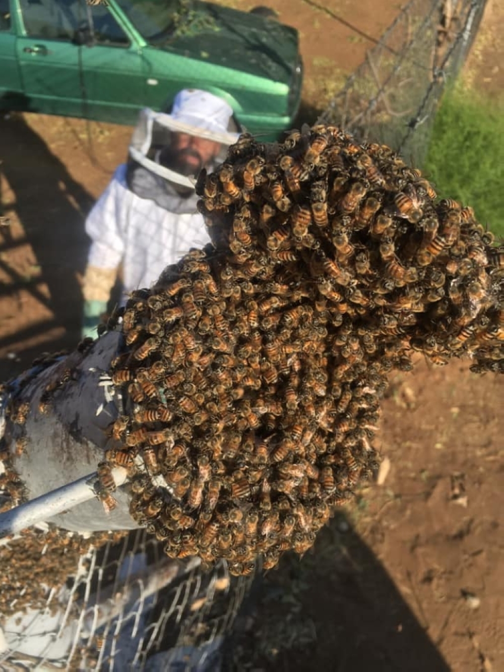 Byeboerdery is soeter as heuning - Republikein - Jou Land, Jou Taal ...