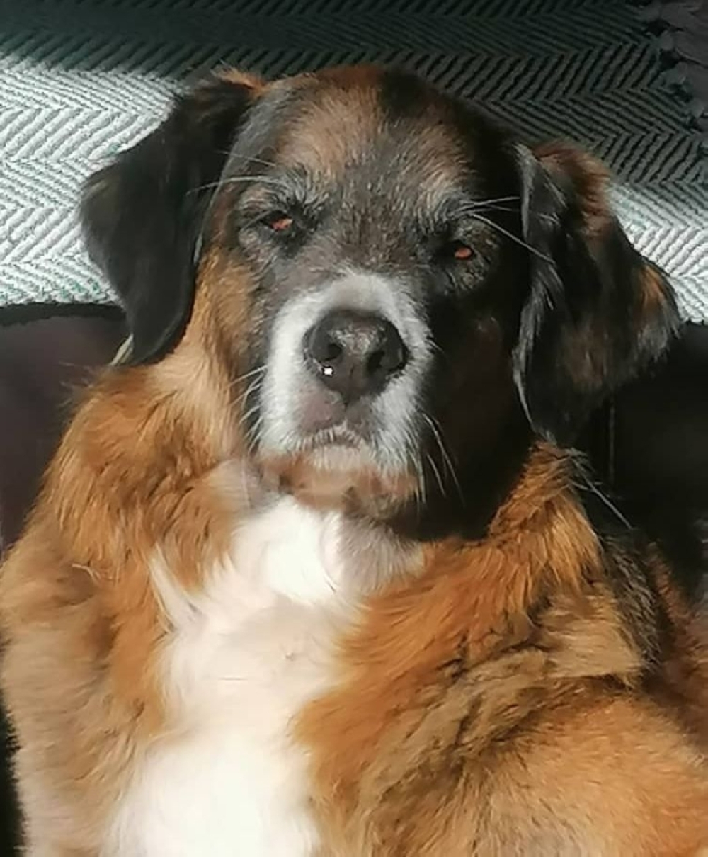 Lesersfoto's 8 September 2022 - Republikein - Jou Land, Jou Taal, Jou Nuus