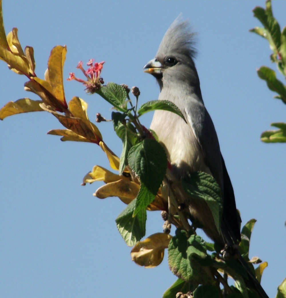 Lesersfoto's 26 September 2022 - Republikein - Jou Land, Jou Taal, Jou Nuus
