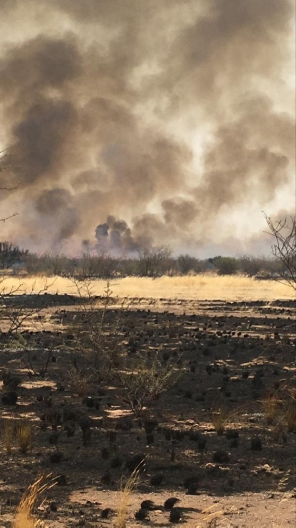 Karasberge in ligte laaie - Republikein - Jou Land, Jou Taal, Jou Nuus
