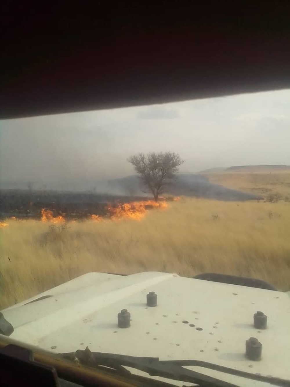 Karasberge in ligte laaie - Republikein - Jou Land, Jou Taal, Jou Nuus