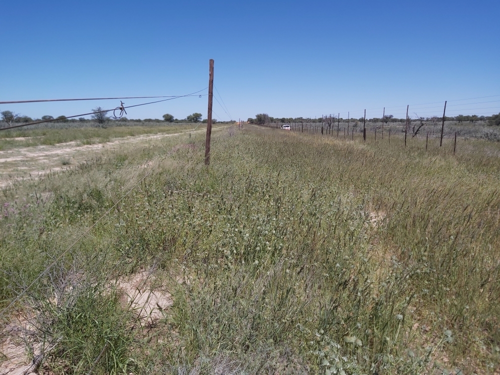 Boere se grenspyne - Republikein - Jou Land, Jou Taal, Jou Nuus