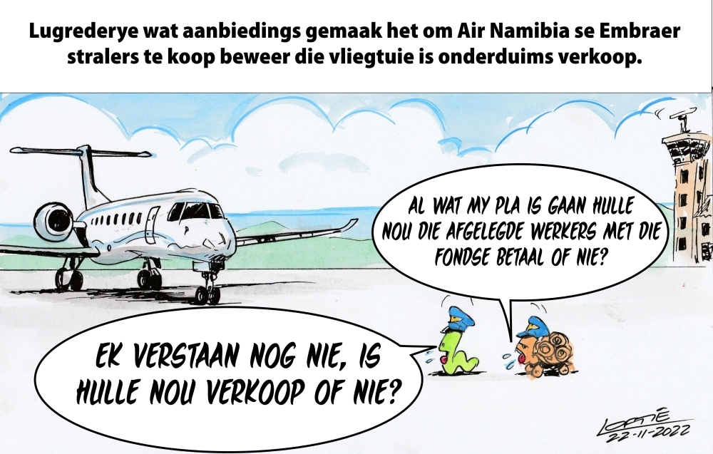 Spotprent 22 November 2022 - Republikein - Jou Land, Jou Taal, Jou Nuus