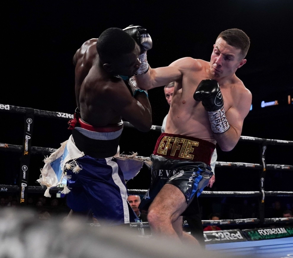 Lion’s roar silenced - Republikein - Jou Land, Jou Taal, Jou Nuus