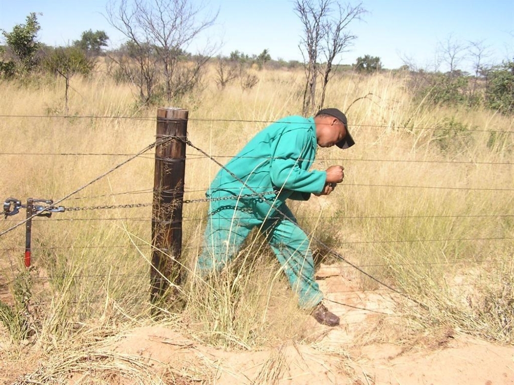 Kommersiële boere sluit aan by hofstryd oor Rooilyn - Republikein - Jou ...