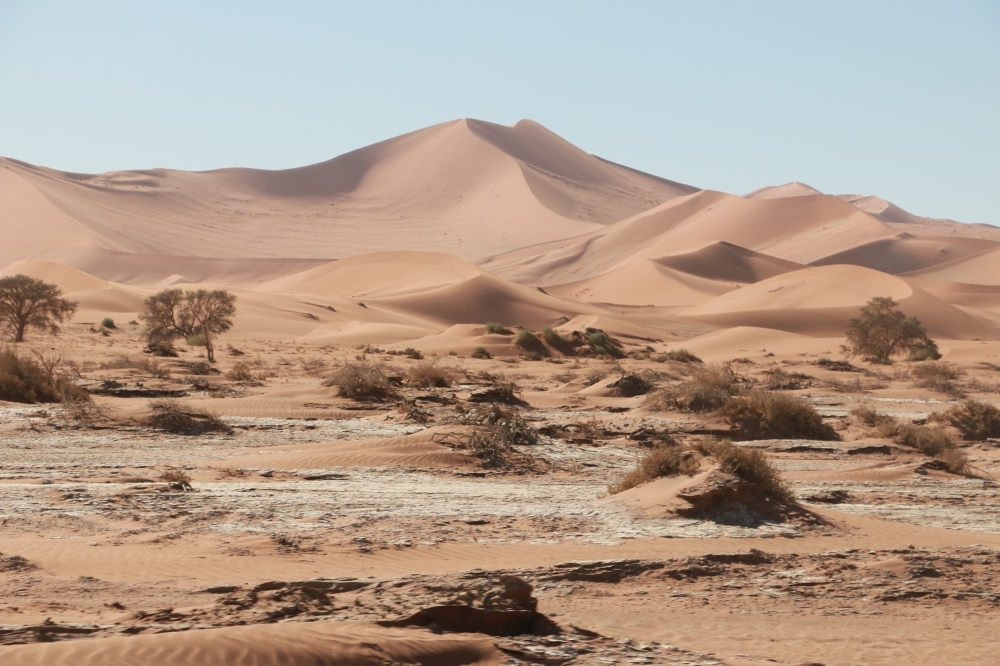 Duine beweeg al hoe vinniger - Republikein - Jou Land, Jou Taal, Jou Nuus