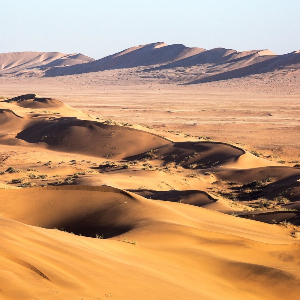 Meer as 2 300 plante, diere waargeneem - Republikein - Jou Land, Jou ...